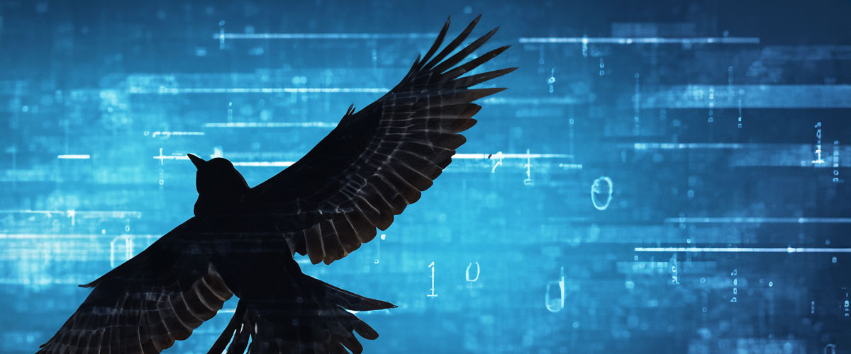 HyperActive Software – Software for humans